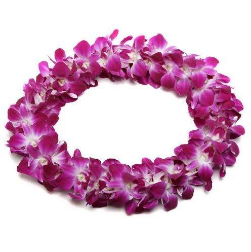 Lei & Graduation Flowers – LeLe Floral