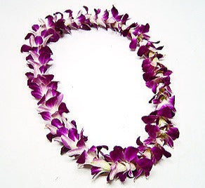 SINGEL BOMBAY ORCHID LEI – LeLe Floral